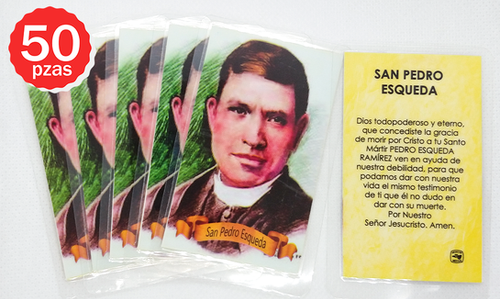 Mica - SAN PEDRO ESQUEDA | CASA DE ANDA