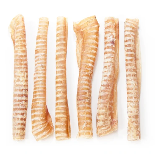 Beef Trachea (12") - 6pk | World Of Paws