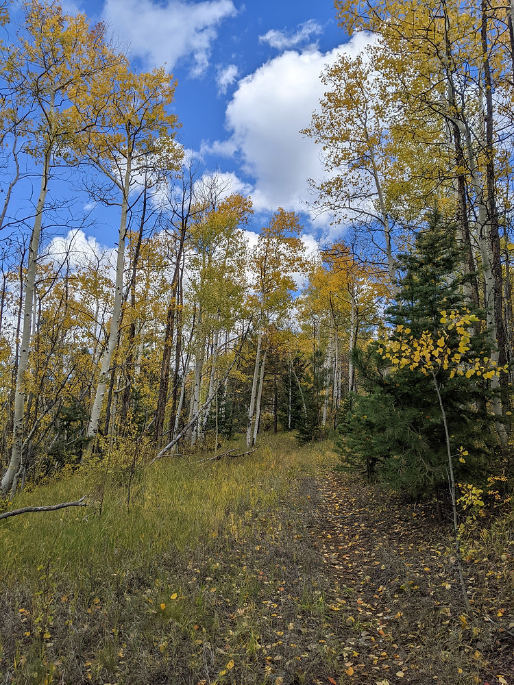 Liminal States and How to Enter Them