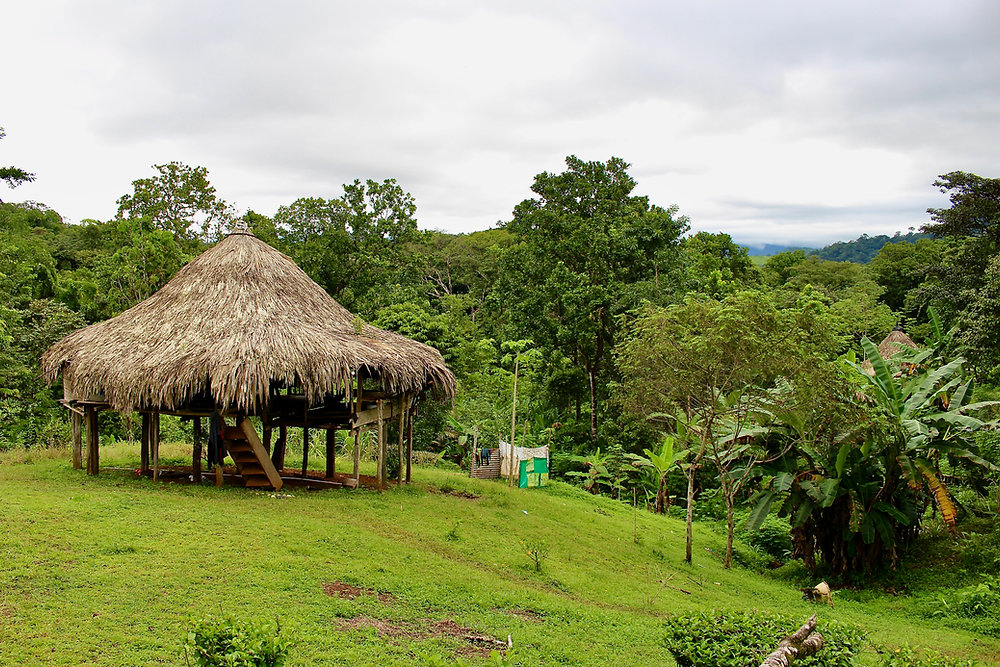 Partnership with US Forest Service International Programs Continues