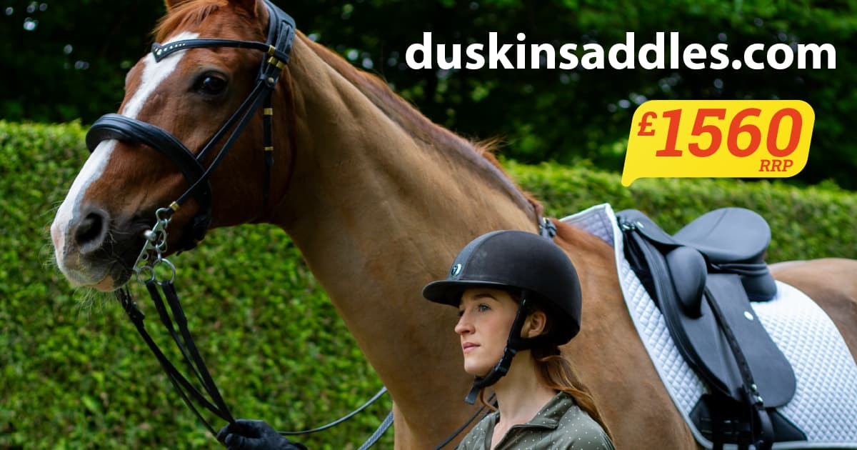 Frequently Asked Questions | Duskin Saddles