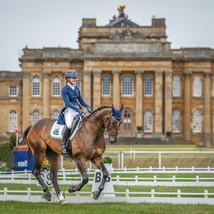 WOW Saddles | Home Page