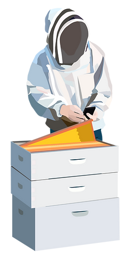 HiveTracks - Beekeeping App & Bee Data Solutions