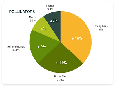 HiveTracks - Beekeeping App & Bee Data Solutions