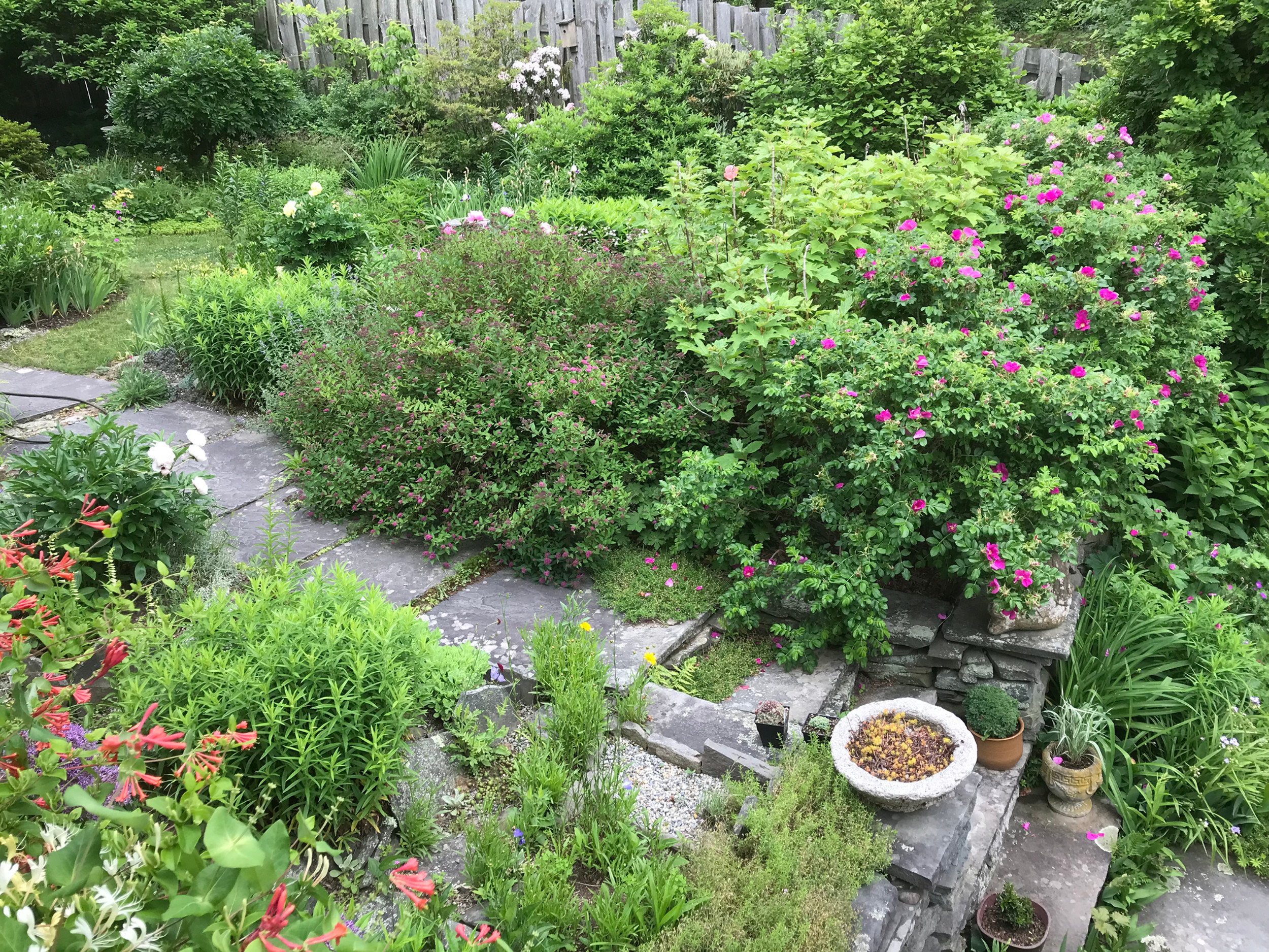 Sally Rowe | Artist | Gardener