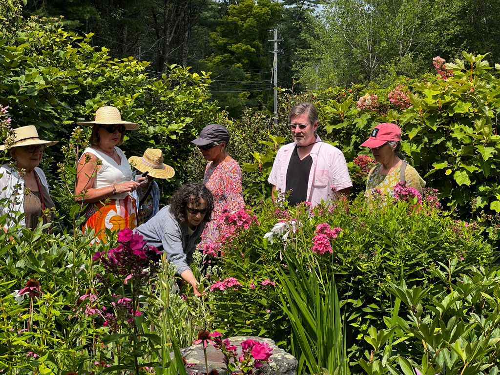 Garden Events | Sally Rowe