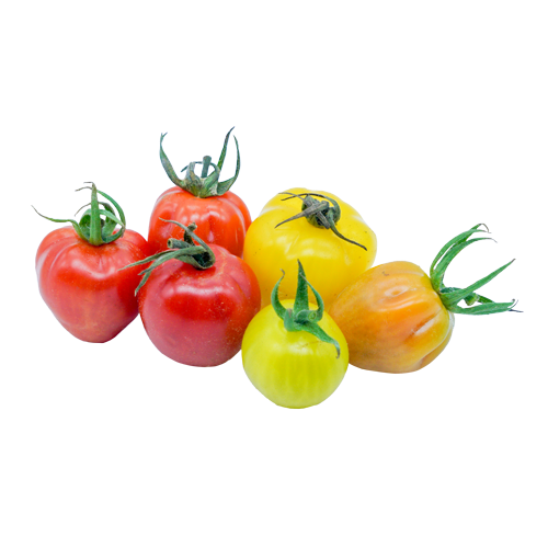 Apple Cherry Tomato | Olivivero