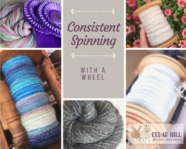 Why Wool? Surprising Facts You May Not Know About Wool