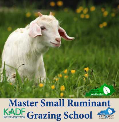 KY Sheep and Goat Grazing School
