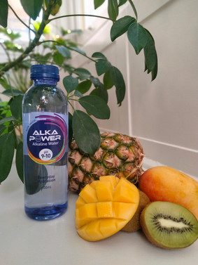 Discover the World of Alka Power