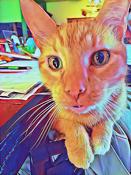 TnTstudios & Creative Collective | Funny Cat Press & Artigenics| Home