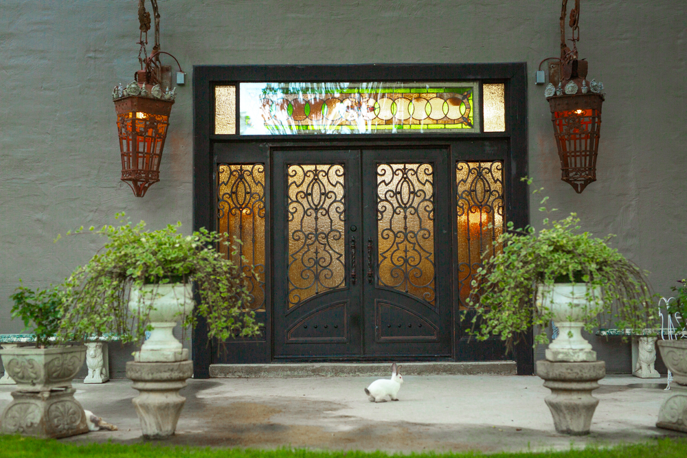 Sanctuary in the Heart: A Breathtaking Venue in Central Texas