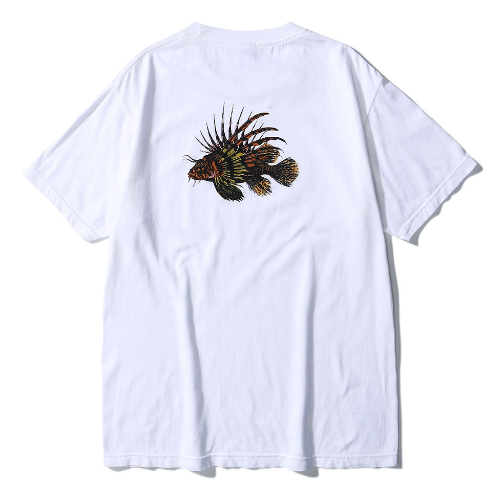Lion Fish PrintStar Tee SS - White | clubstubborn