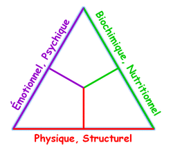 Le triangle du mieux être