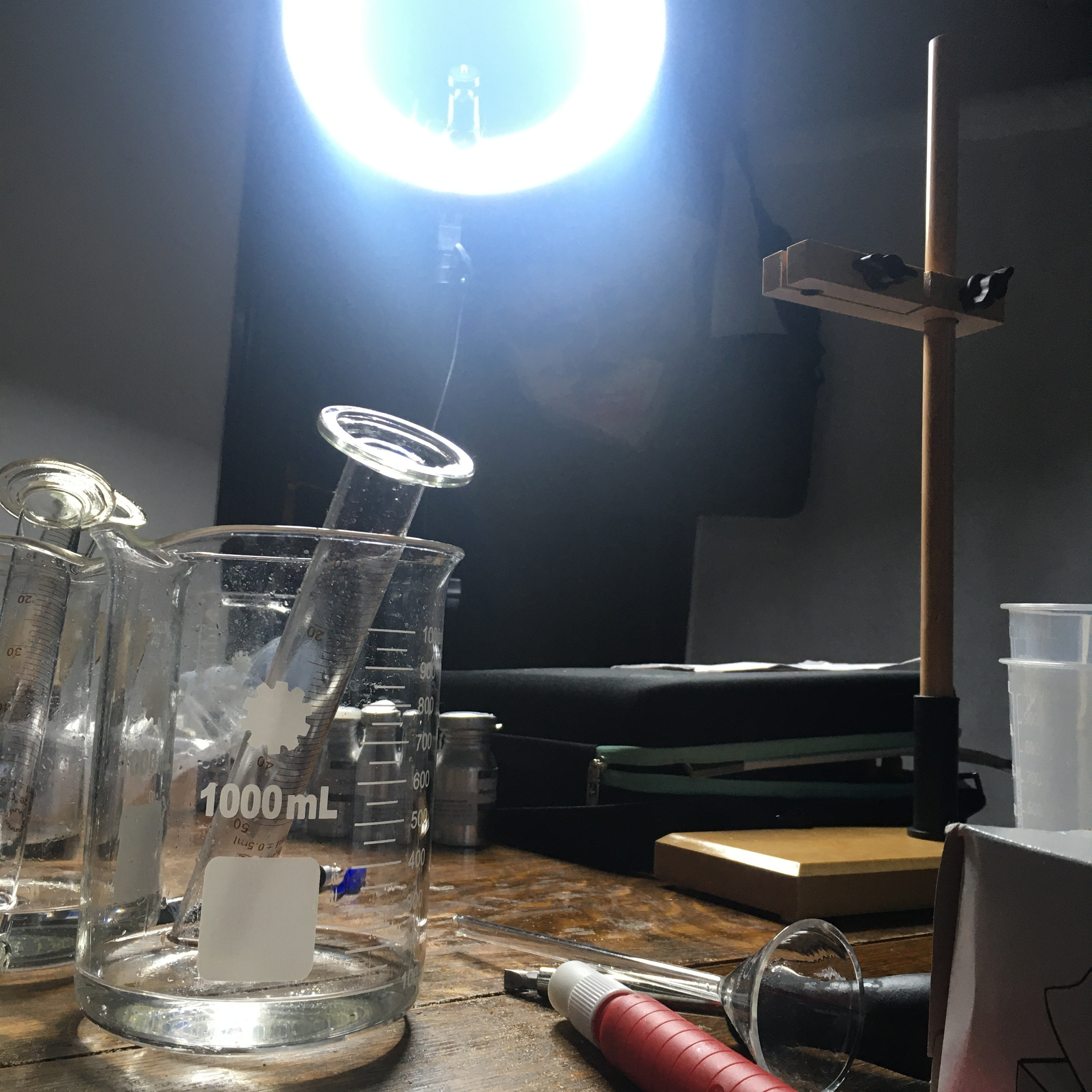 CELIE & COUCH | Press