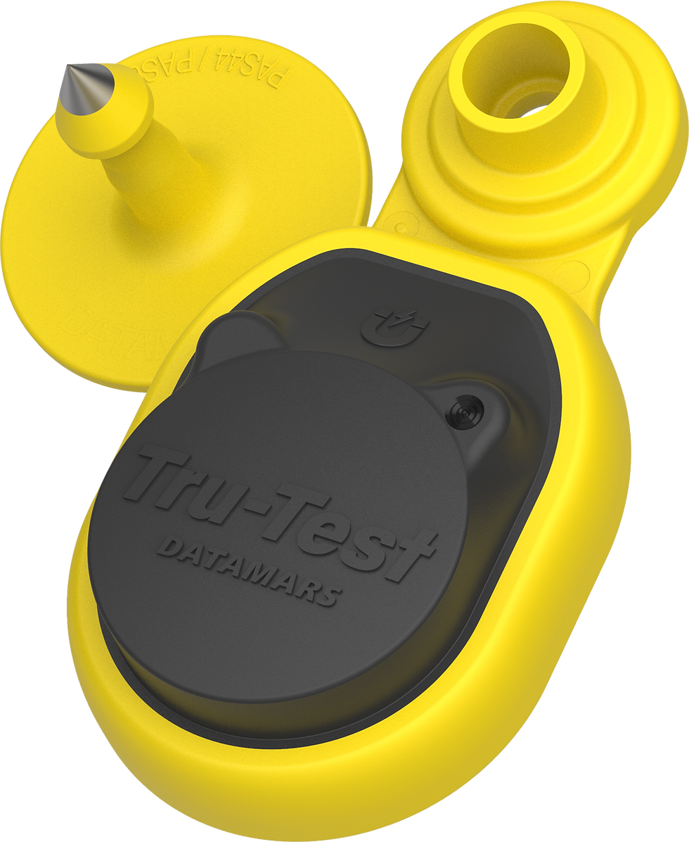 Active Tag | Datamars UK