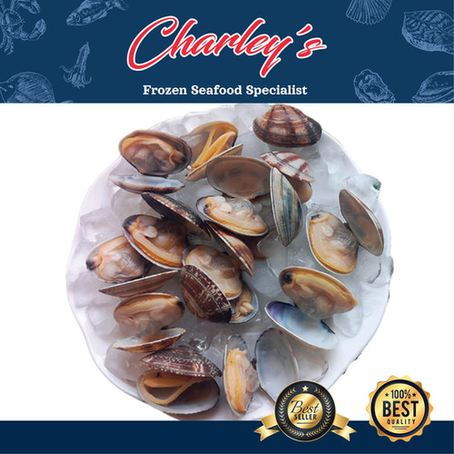 Japanese lala / Asari | Charleysfrozen