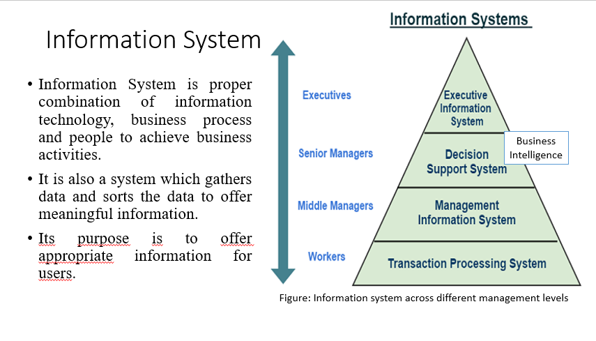 What is Business and Information System?