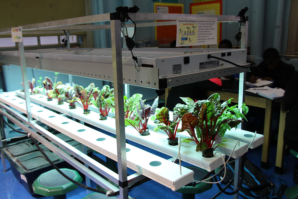 About Us | PS/IS 157