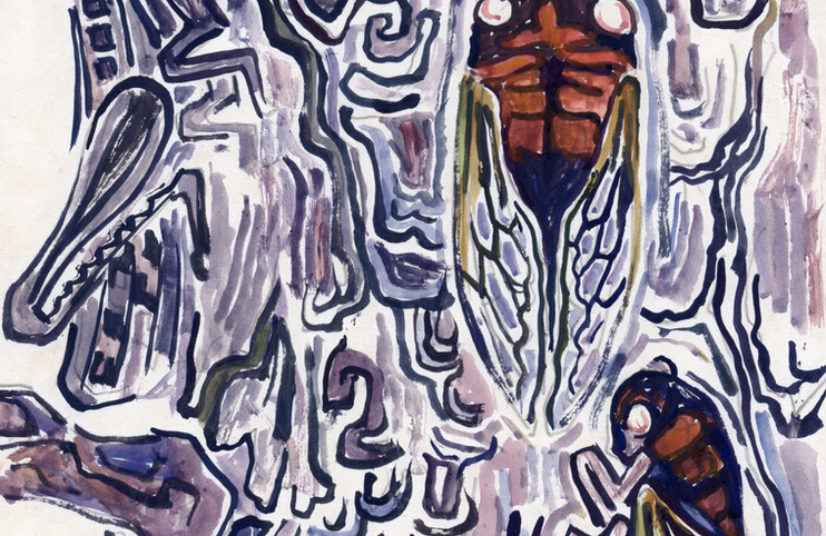 The Collected Works: Walter I Anderson | Walter Anderson MoA