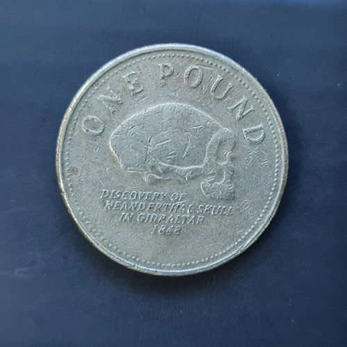 Gibraltar Neanderthal Skull £1 - 2006 | Rock Numismatics