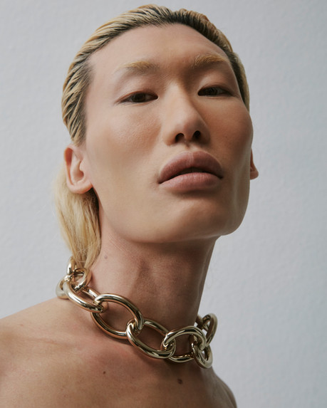 APL MODELS Worldwide | SIU HEI