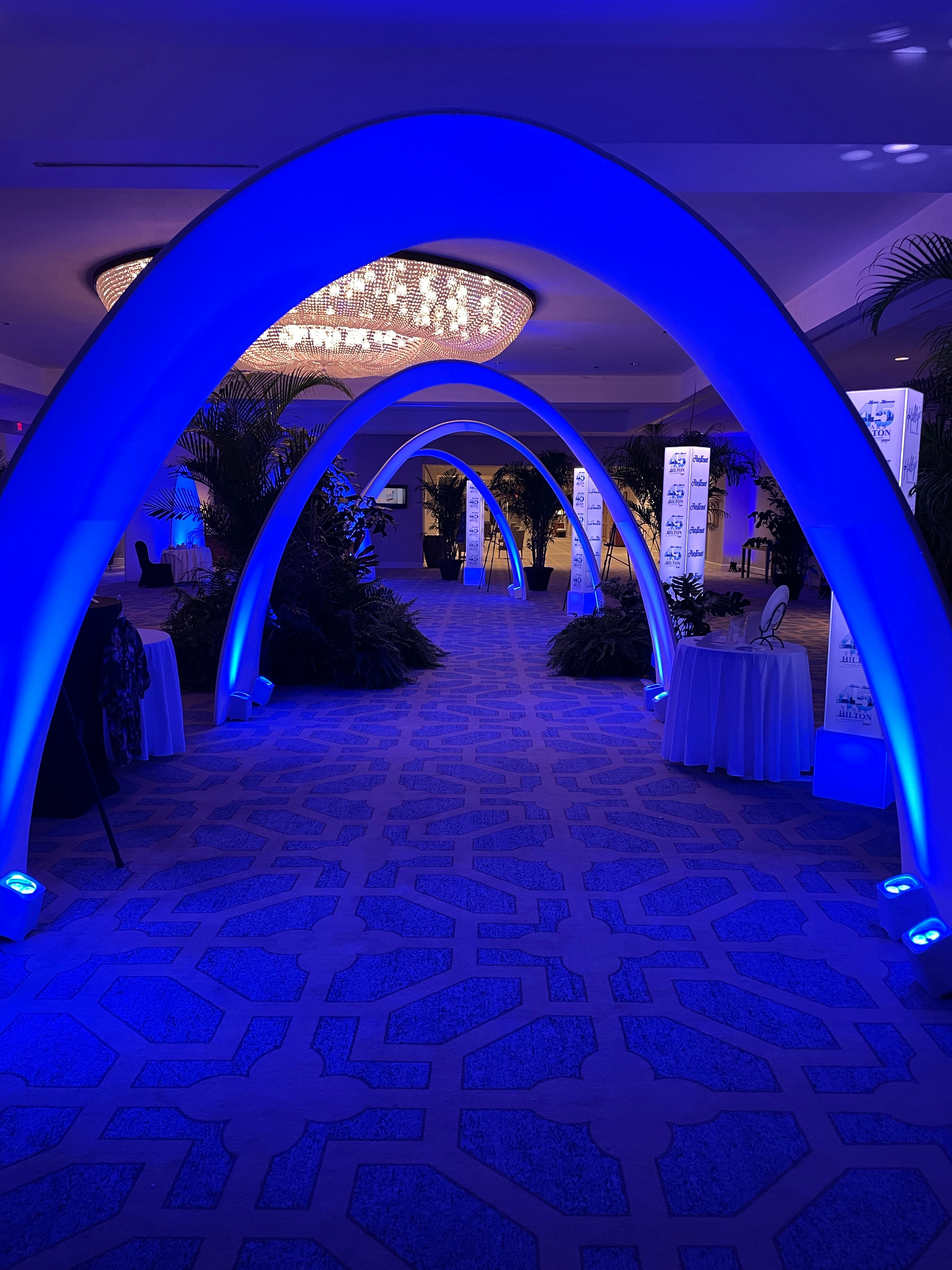 Spandex Arches - Fancy Faces Decor, New Orlean
