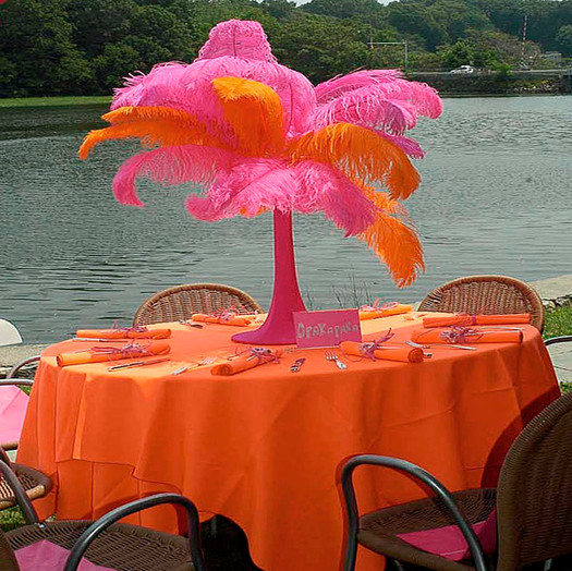 Feather Stands