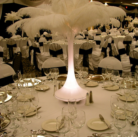 Feather Stands