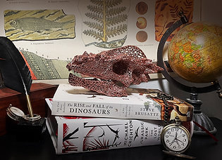 HOME | DeepTime Fossils