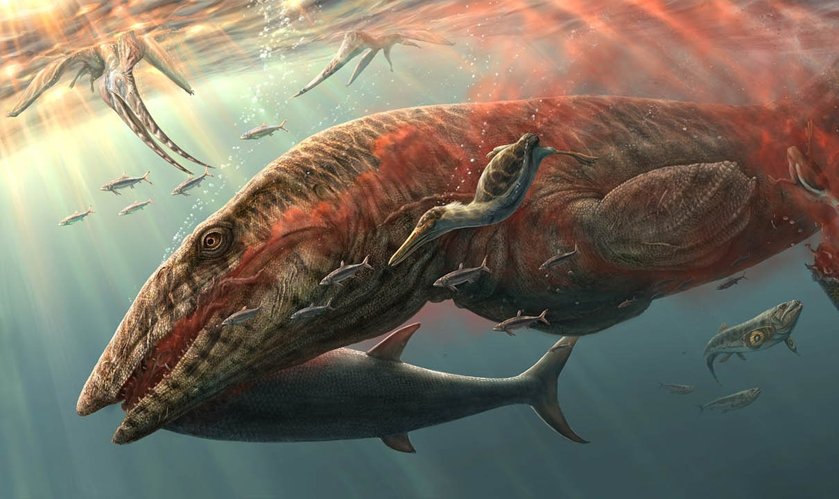 Savage Ancient Seas | Traveling Museum Exhibit