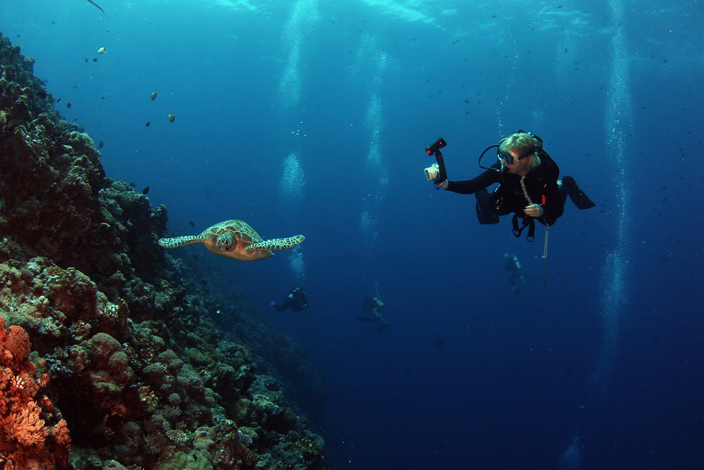 Why Blue Grotto Springs Florida is a Photographer’s Paradise