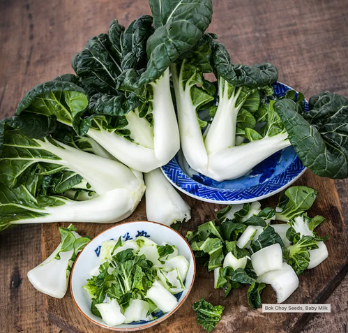 Baby Milk Choy (B. rapa sub. chinensis) | cercatoridisemi