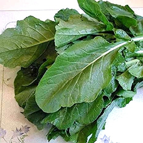 Broccoletto all'Olio (Brassica rapa) | cercatoridisemi