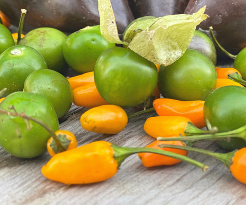 Peperoncino Short Tabasco Yellow (Capsicum annuum) | cercatoridisemi