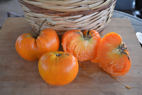 Pomodoro Orange Strawberry (Lycopersicon lycopersicum) | cercatoridisemi
