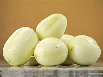 Dragon’s Egg Cucumber (Cucumis sativus) | Seeds Hunters