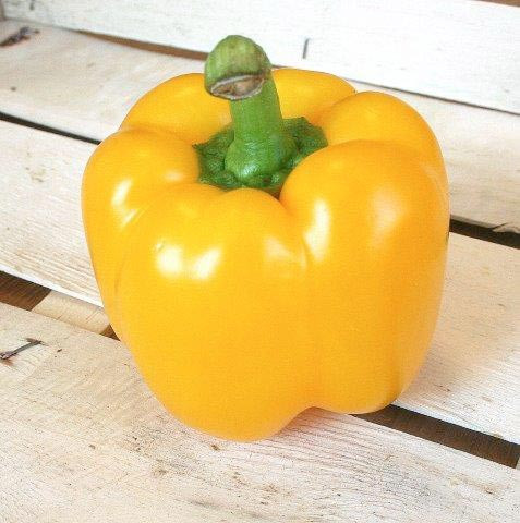 Peperone Quadrato d'Asti Giallo (Capsicum annuum) | cercatoridisemi