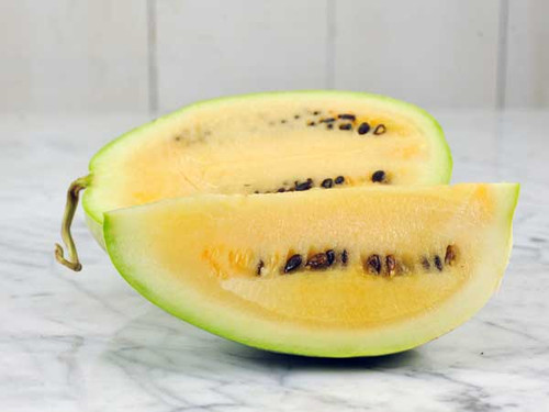 Desert Watermelon (Citrullus Ianatus) | Seeds Hunters