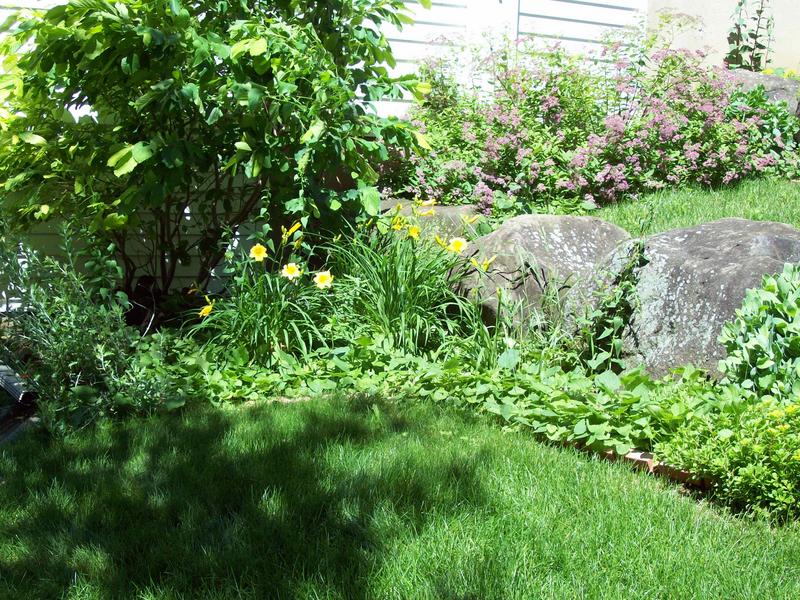 Madison Landscape and Snow Removal