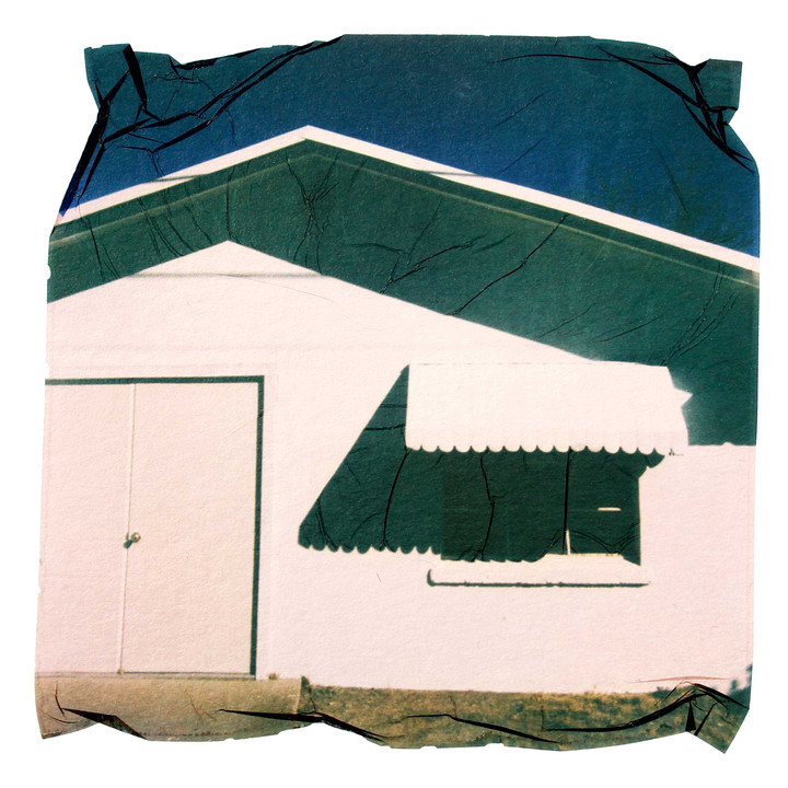 Emulsion LIfts | Liz Potter Photo