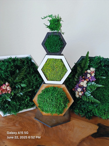 Miniature Moss Hexagons | Preserved Moss Wall Decor | Moss Wall Art ...