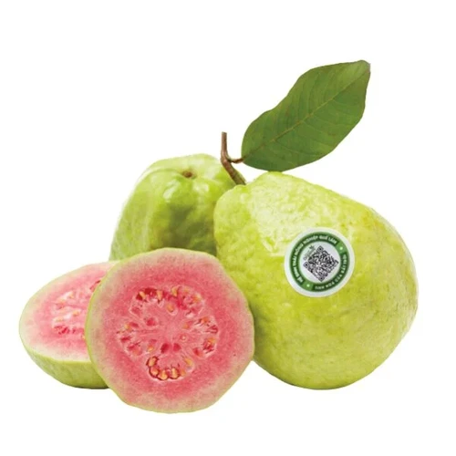 Ruby Guava | Green Vigor