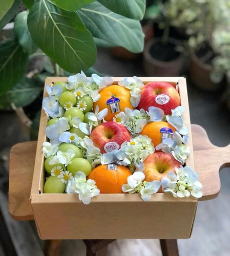 Combo 2 | Green Vigor