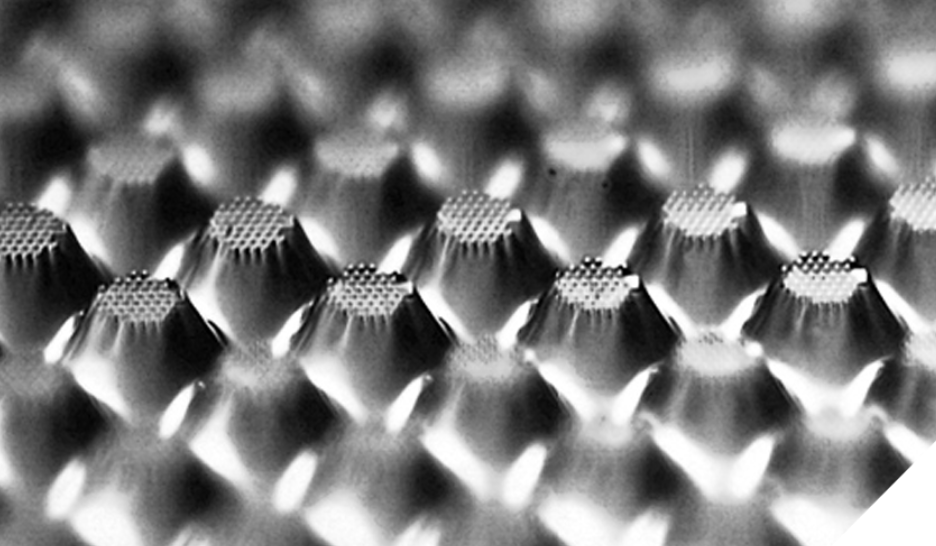 Home | United Labels USA