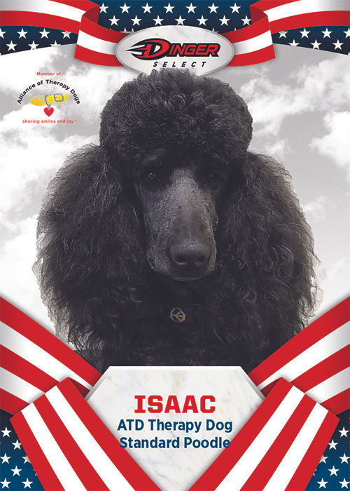 1500 Therapy Dog Cards | dingerselect