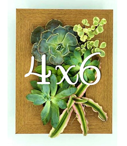 4x6 Vertical Planter Kit | portraitgardens