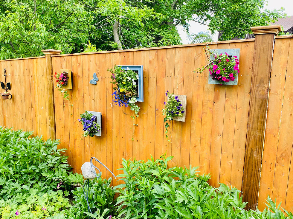 Portrait Gardens - Design, Plant & Display Your Succulent Garden ...