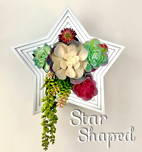 Star-Shaped Planter Kit | portraitgardens