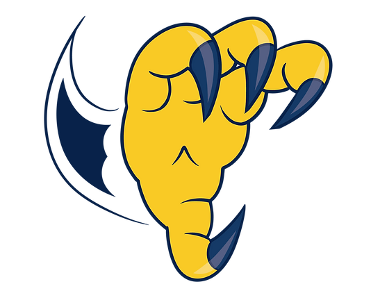 Talons Baseball Logo | Eiberger Portfolio